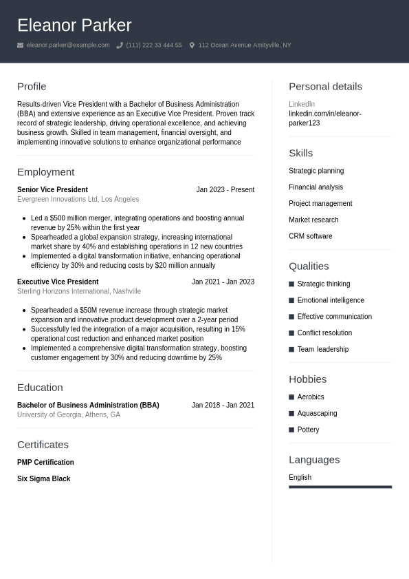 Vice President Resume Example | Jobseeker