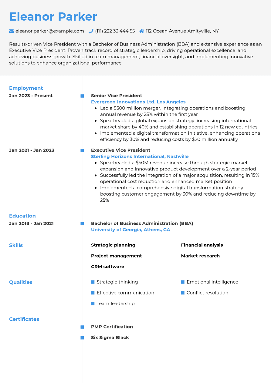 Vice President Resume Example | Jobseeker