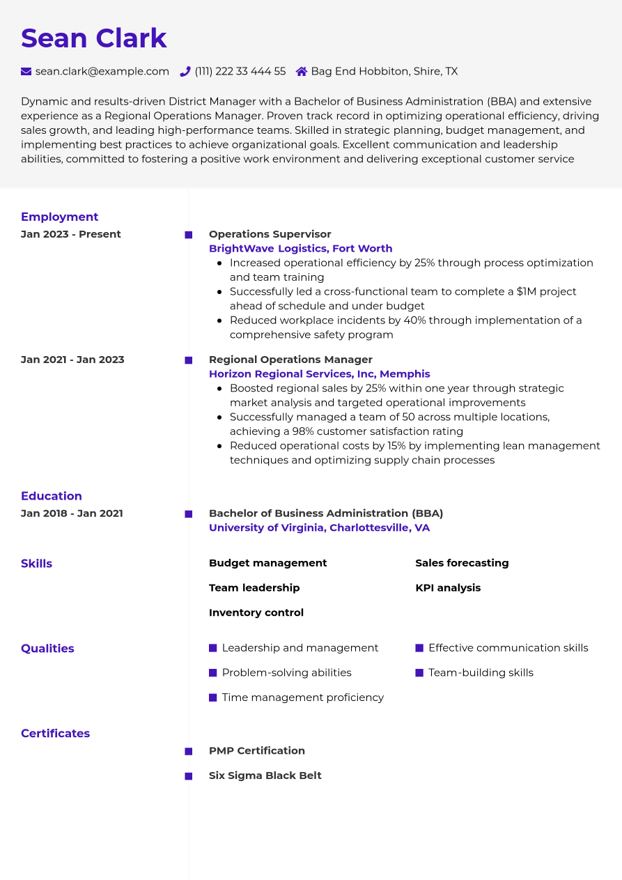 Budget Manager Resume Example | Jobseeker