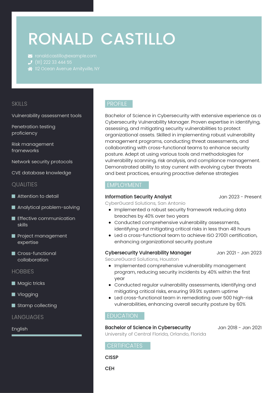Vulnerability Management Resume Example | Jobseeker