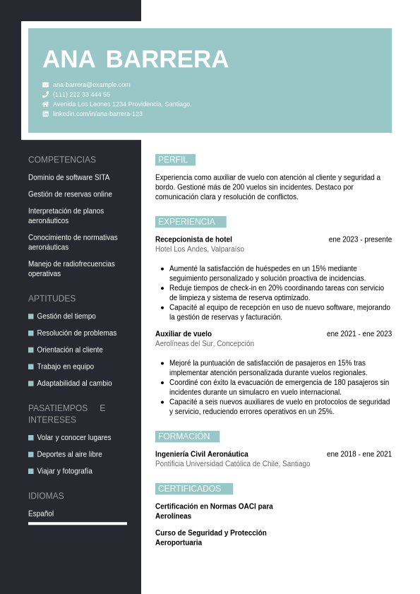 Currículum para JetSmart ejemplo y consejos | Jobseeker