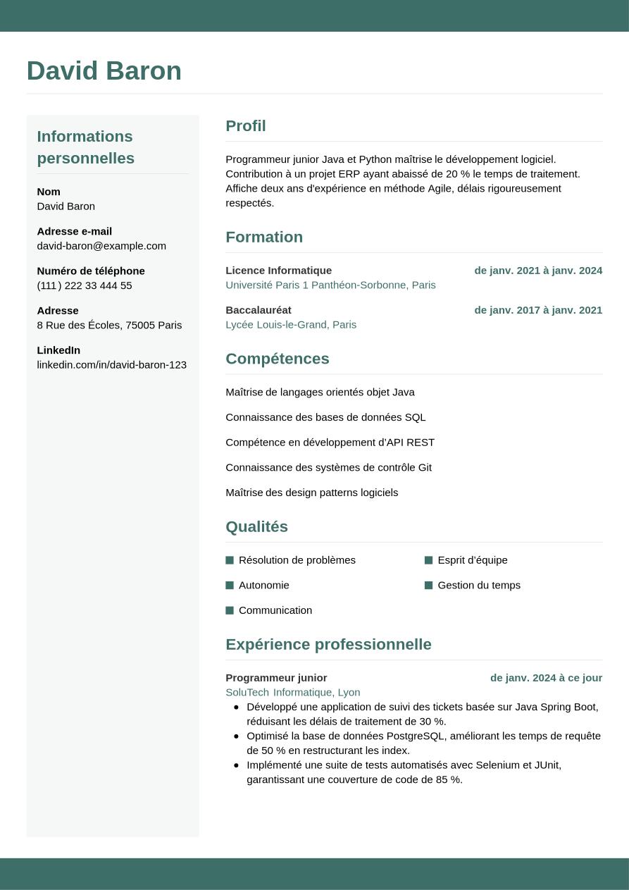 CV de programmeur : exemple et conseils | Jobseeker