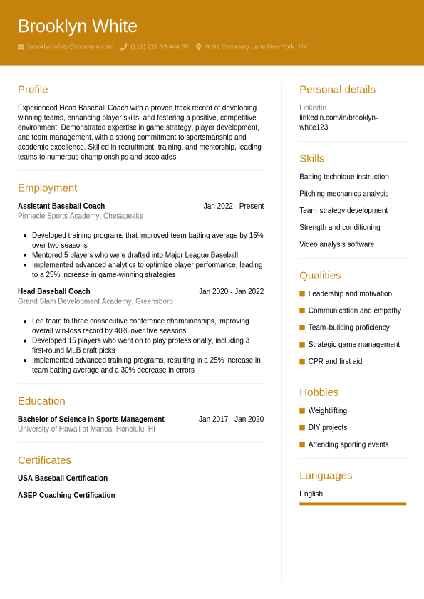 Pilot Resume Example | Jobseeker