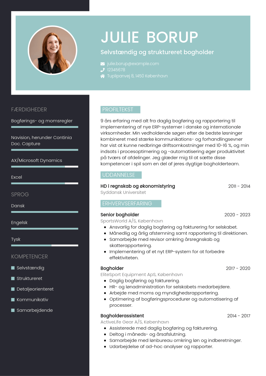 CV-eksempel Bogholder | Jobseeker