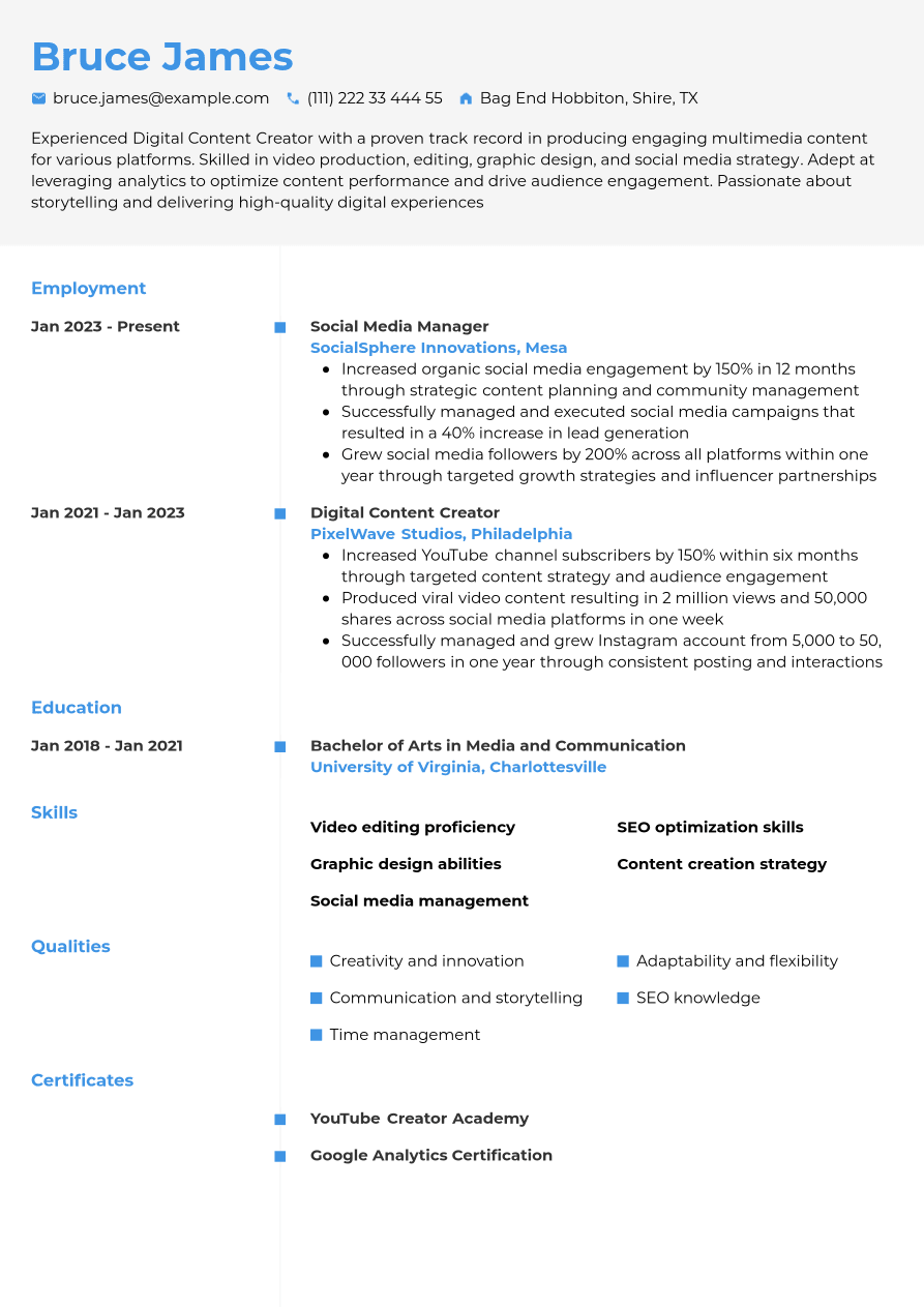 Youtuber Resume Example | Jobseeker