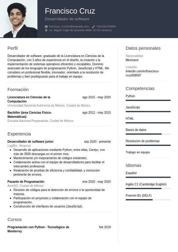 Desarrollador de software: Ejemplo de currículum | Jobseeker