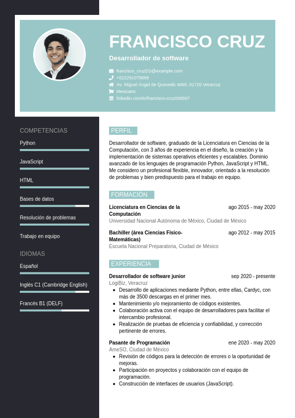 Desarrollador de software: Ejemplo de currículum | Jobseeker