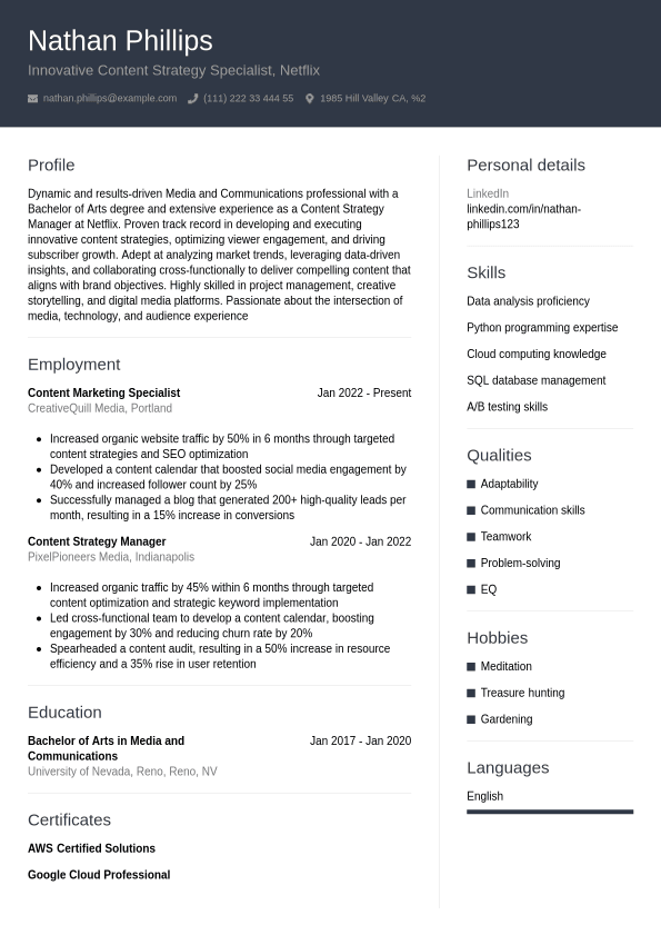 Netflix Resume Example | Jobseeker
