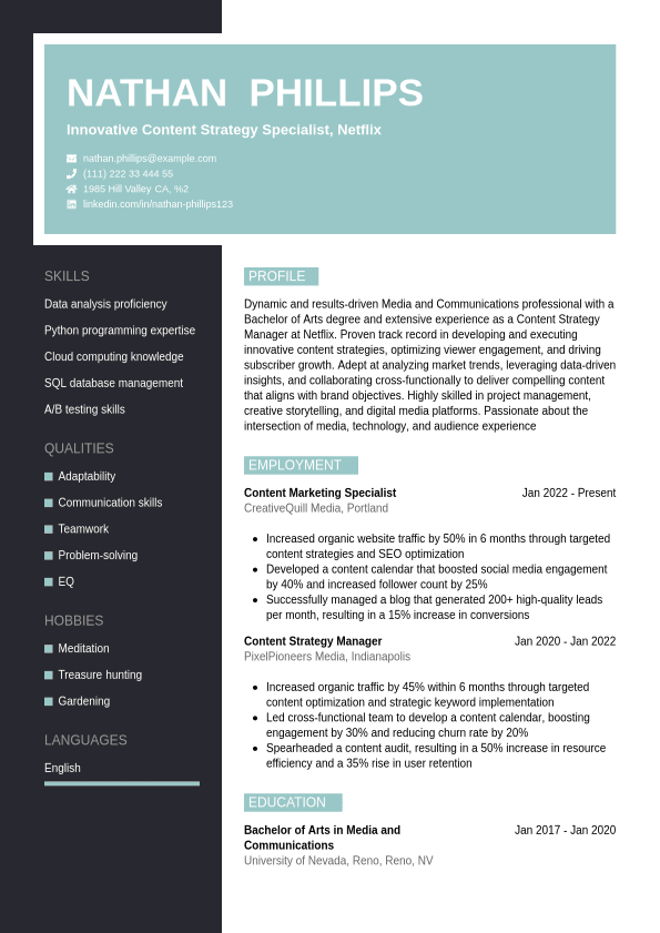Netflix Resume Example | Jobseeker