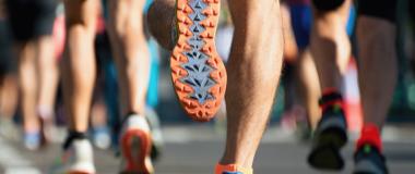 Artículos sobre curriculum vitae | Jobseeker