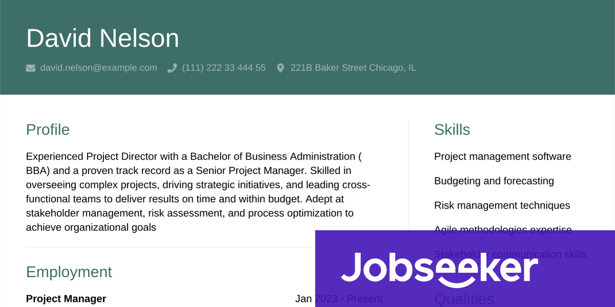 Project Director Resume Example & Writing Guide | Jobseeker