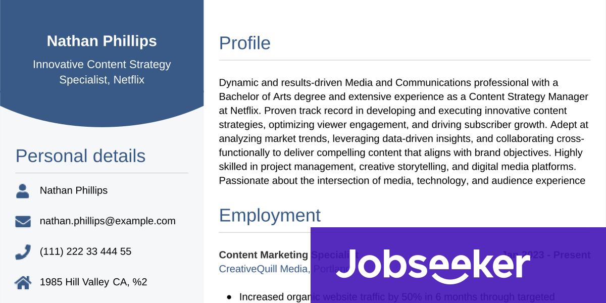 Netflix Resume Example | Jobseeker