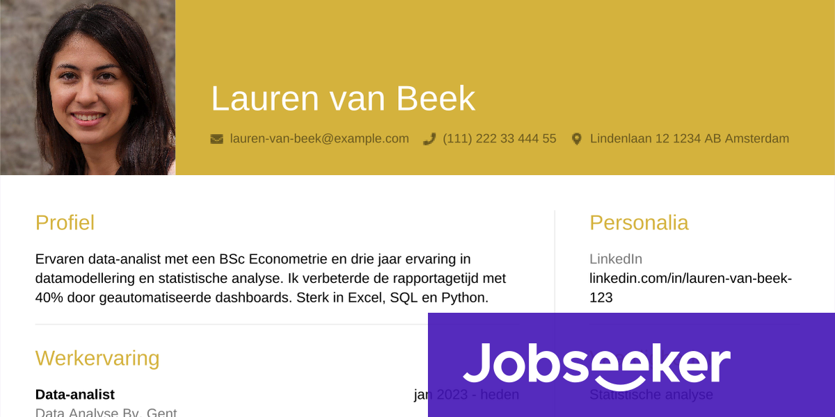 CV data-analist voorbeeld & tips (2025) | Jobseeker