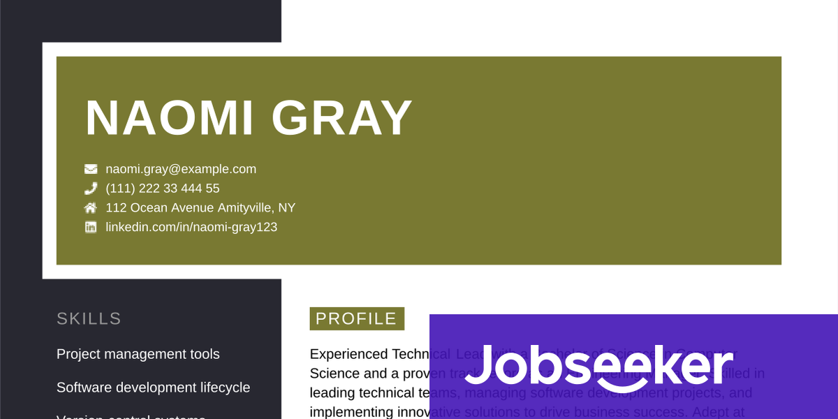 Technical Lead Resume Example | Jobseeker