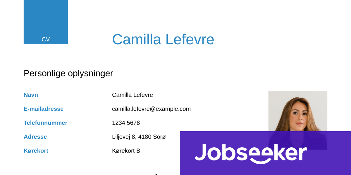 CV-eksempel socialrådgiver | Jobseeker